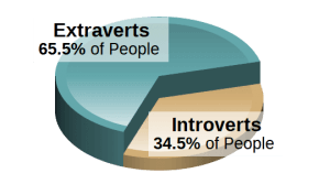 Extraversion vs. Introversion: Personality Preferences